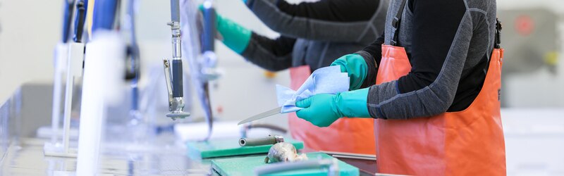 Sustaining Hygiene Compliance in Food Processing Facilities | Tork NZ